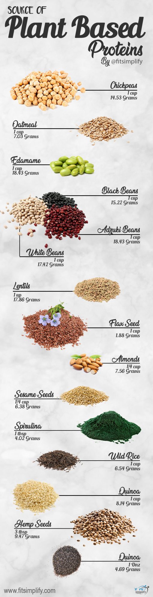 The Complete Guide to Plant-based Nutrition vs Protein-focused Nutrition